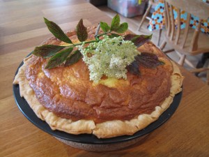 Sambocade — Medieval Elderflower and Cheese Tart | Fromage Homage