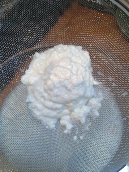 Home-Made Buffalo Mozzarella | Fromage Homage